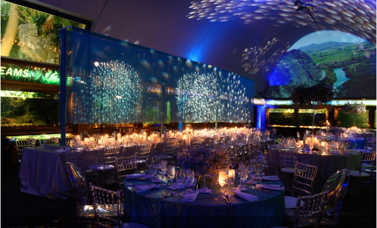Shedd Aquarium | Chicago Venue | All Events | 95 photos on PartySlate