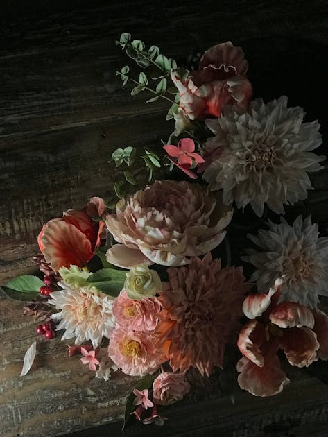 image-d537daf3-c73c-4985-a92f-96d4c27992bb.jpeg?ixlib=rails-2.1.4&w ...