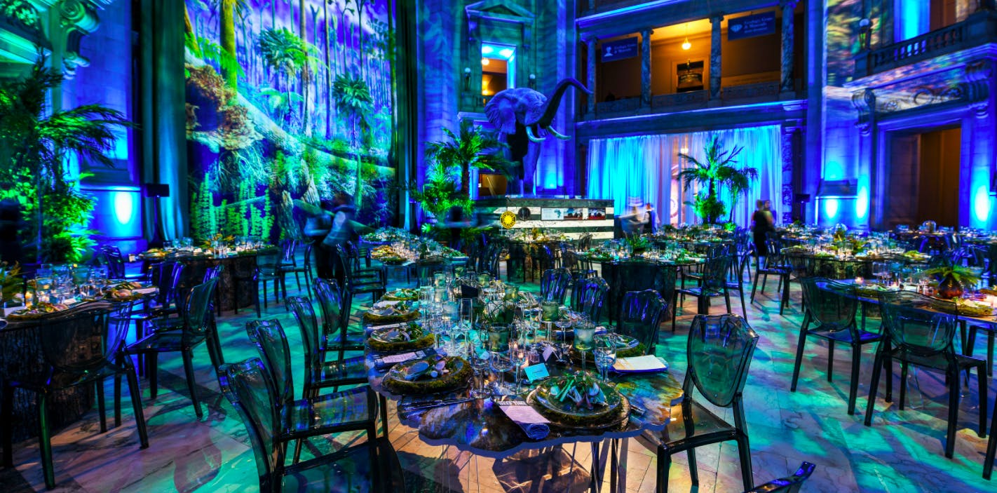 Silver Lining Design Group | Washington Design & Floral | PartySlate