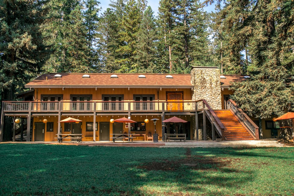 image-46a1116f-f36c-416d-92c2-3fb5b6ffb028.jpg?ixlib=rails-2.1.4&w=1200 ...