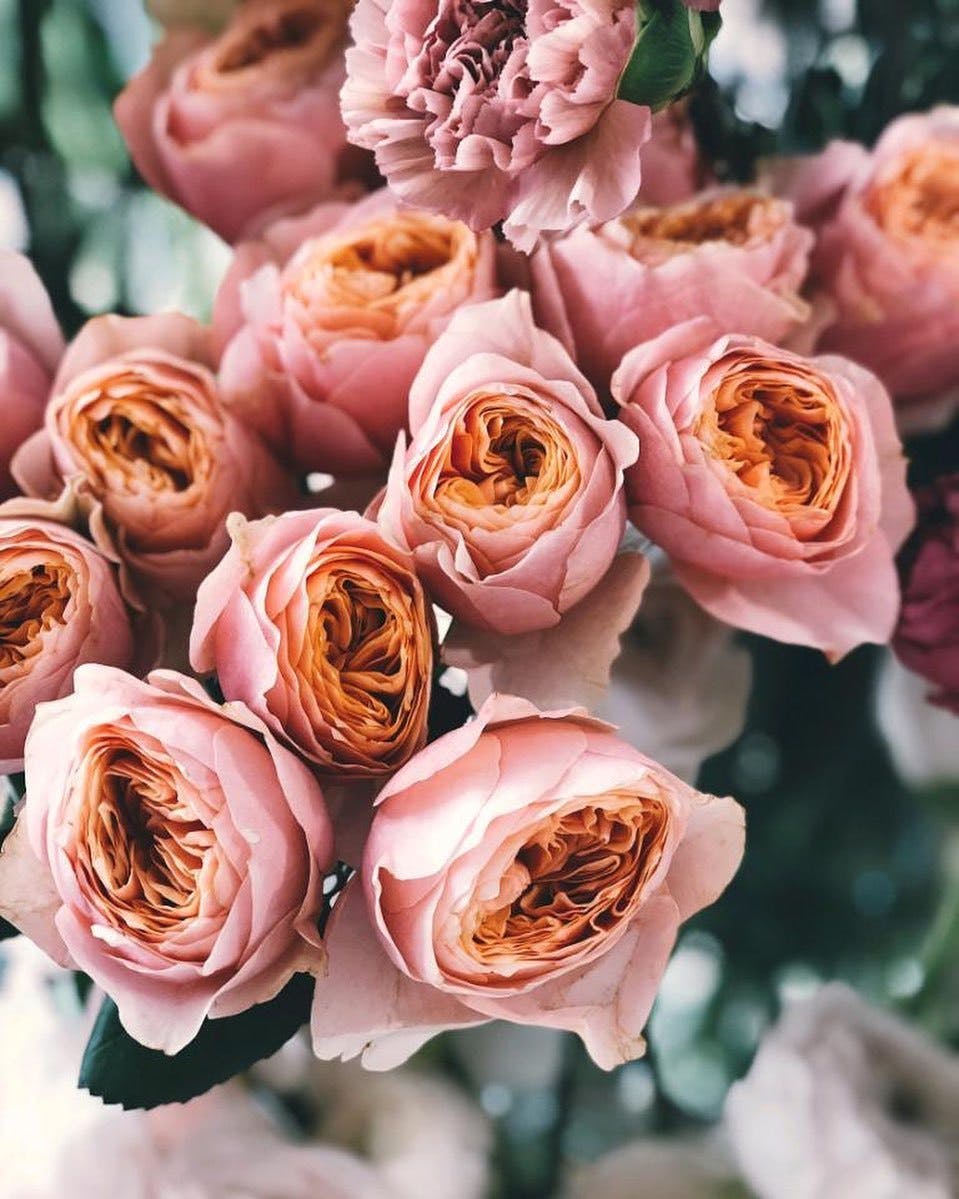 Darra Michelle Events | Chicago Event Planner | PartySlate