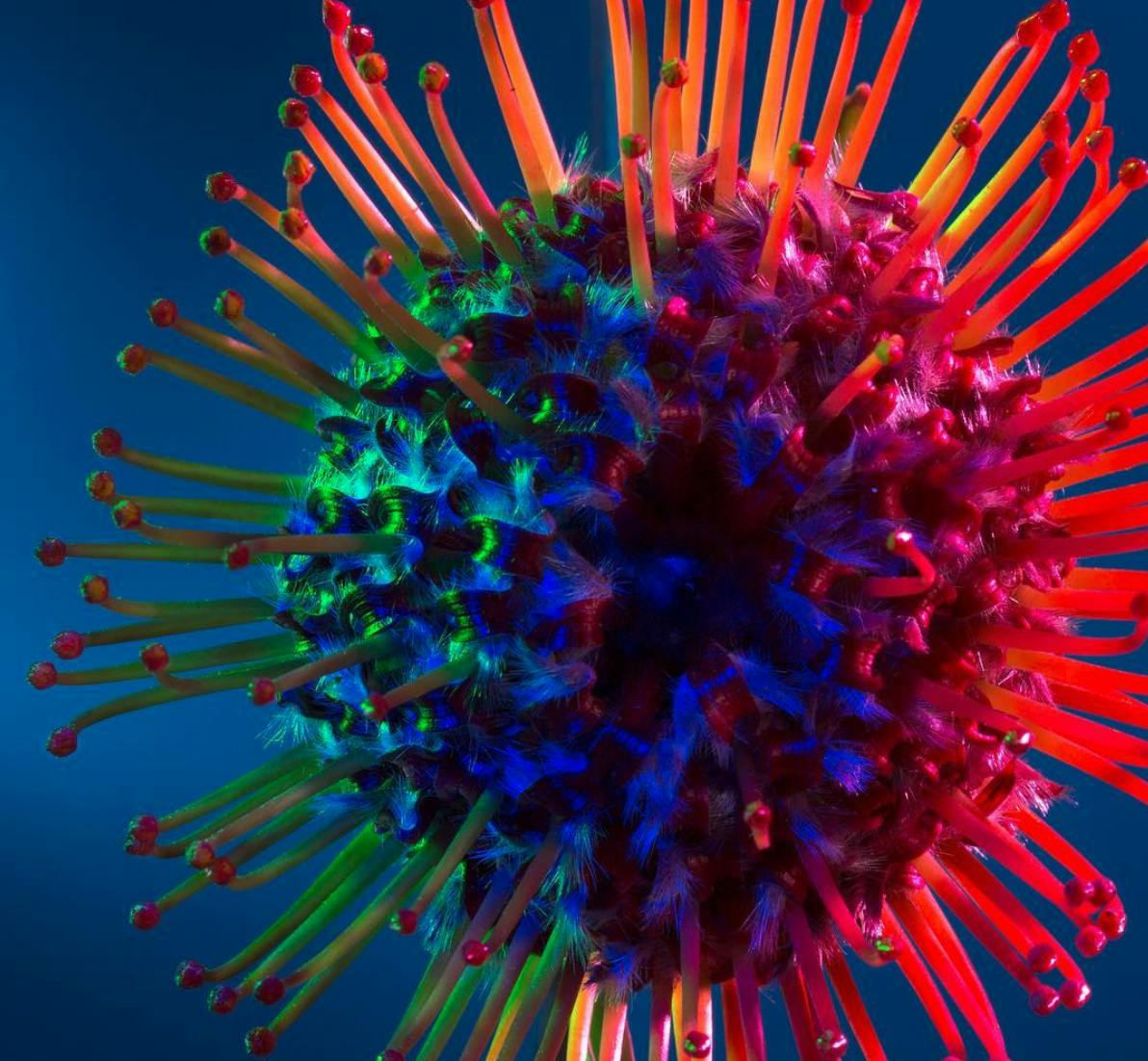 Edwin Vargas | San Francisco Photographer | PartySlate