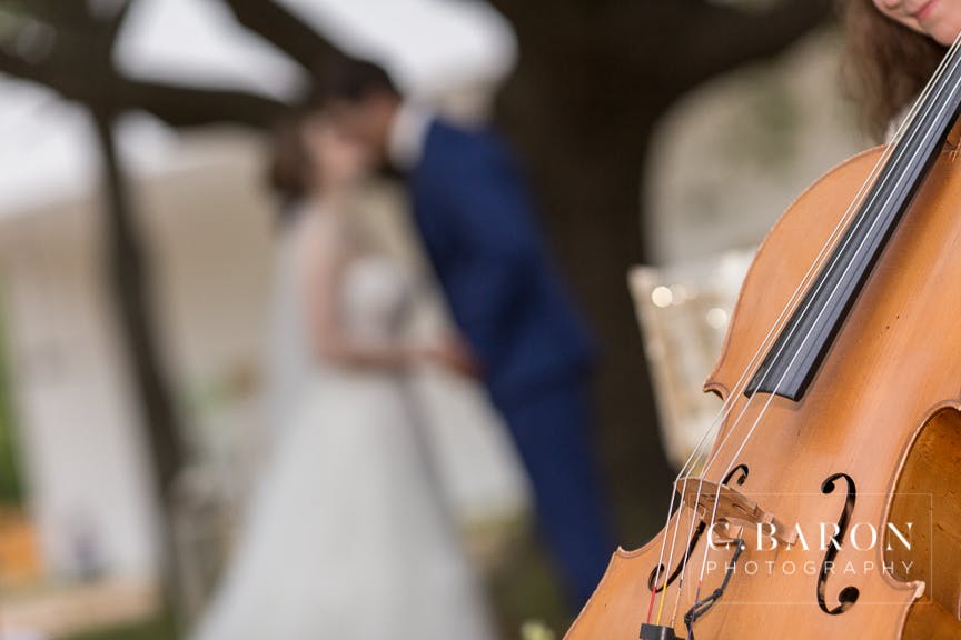 Third Floor Strings | Cypress Entertainment | PartySlate