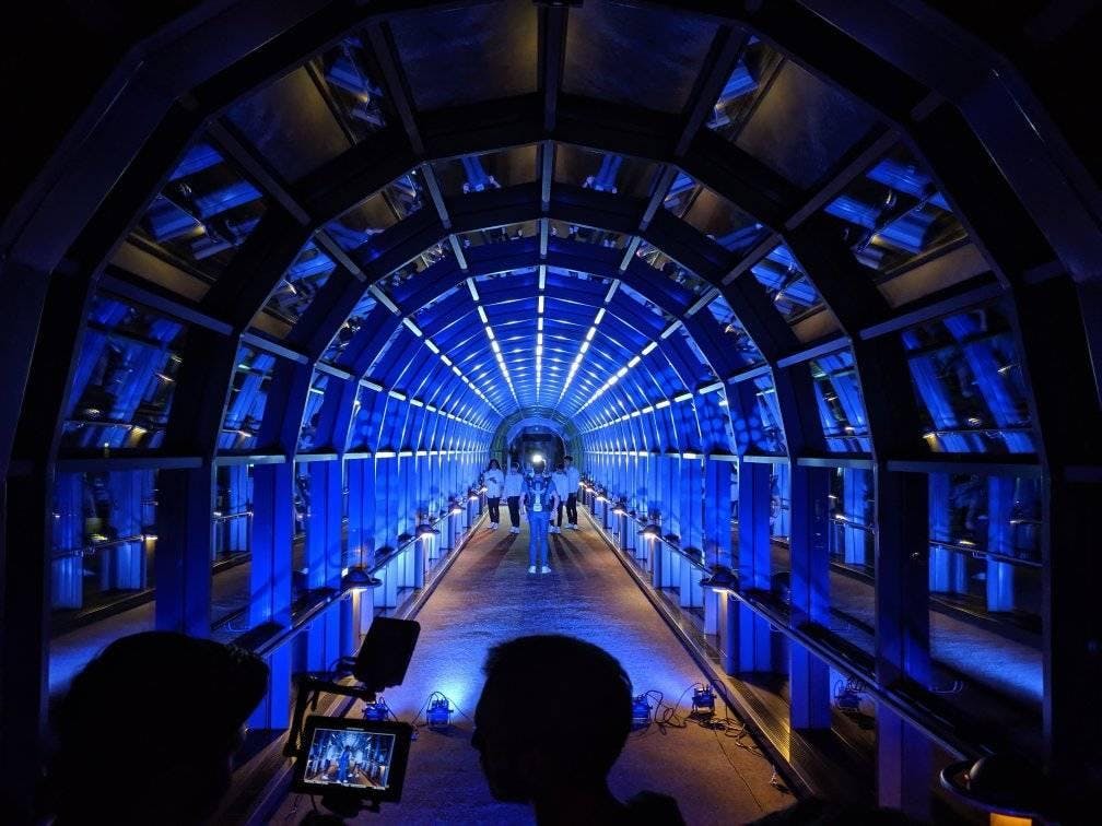 Bellevue Lighting | Seattle Design & Floral | PartySlate