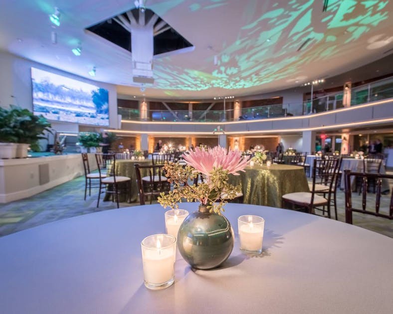 image-f710fd0e-1576-48ee-987d-3ff35cef443d.jpg?ixlib=rails-2.1.4&w=1200 ...