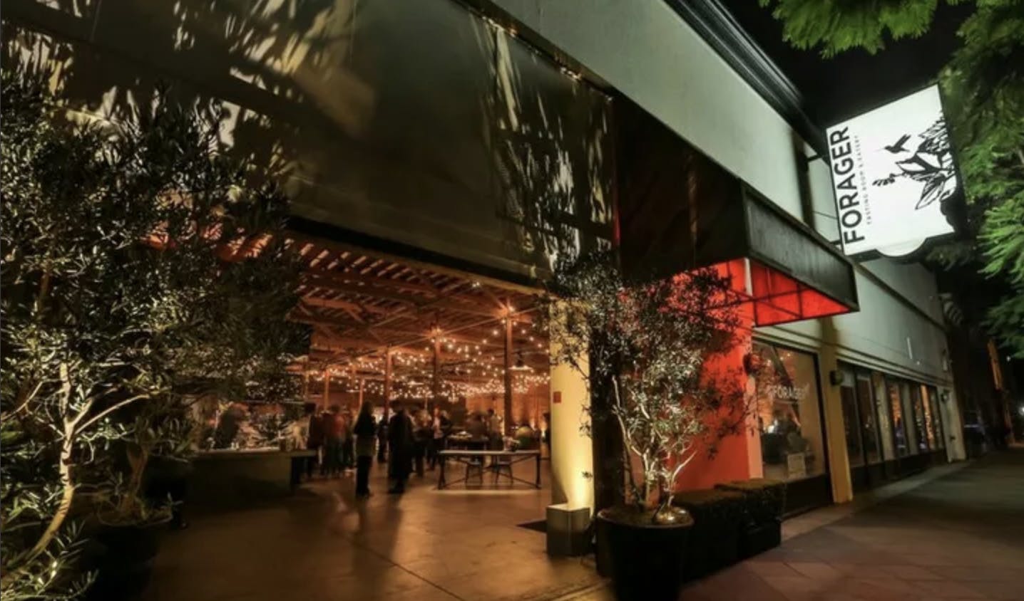 Forager Tasting Room & Eatery | San Jose Venue | PartySlate