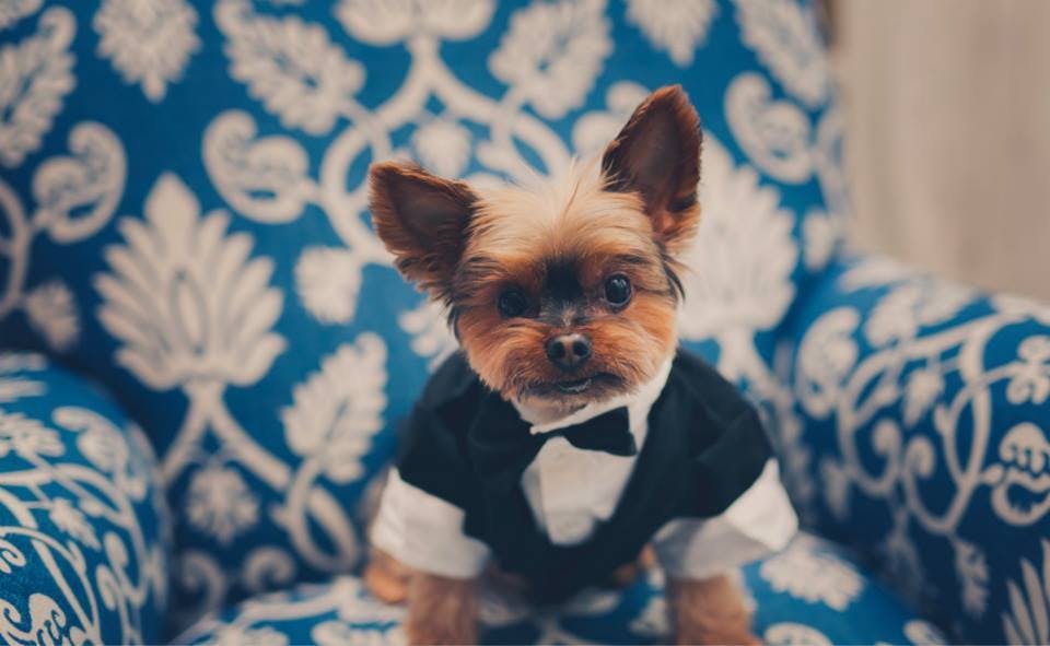 Blue Ivy - Palm Beach | Palm Beach Event Planner | PartySlate