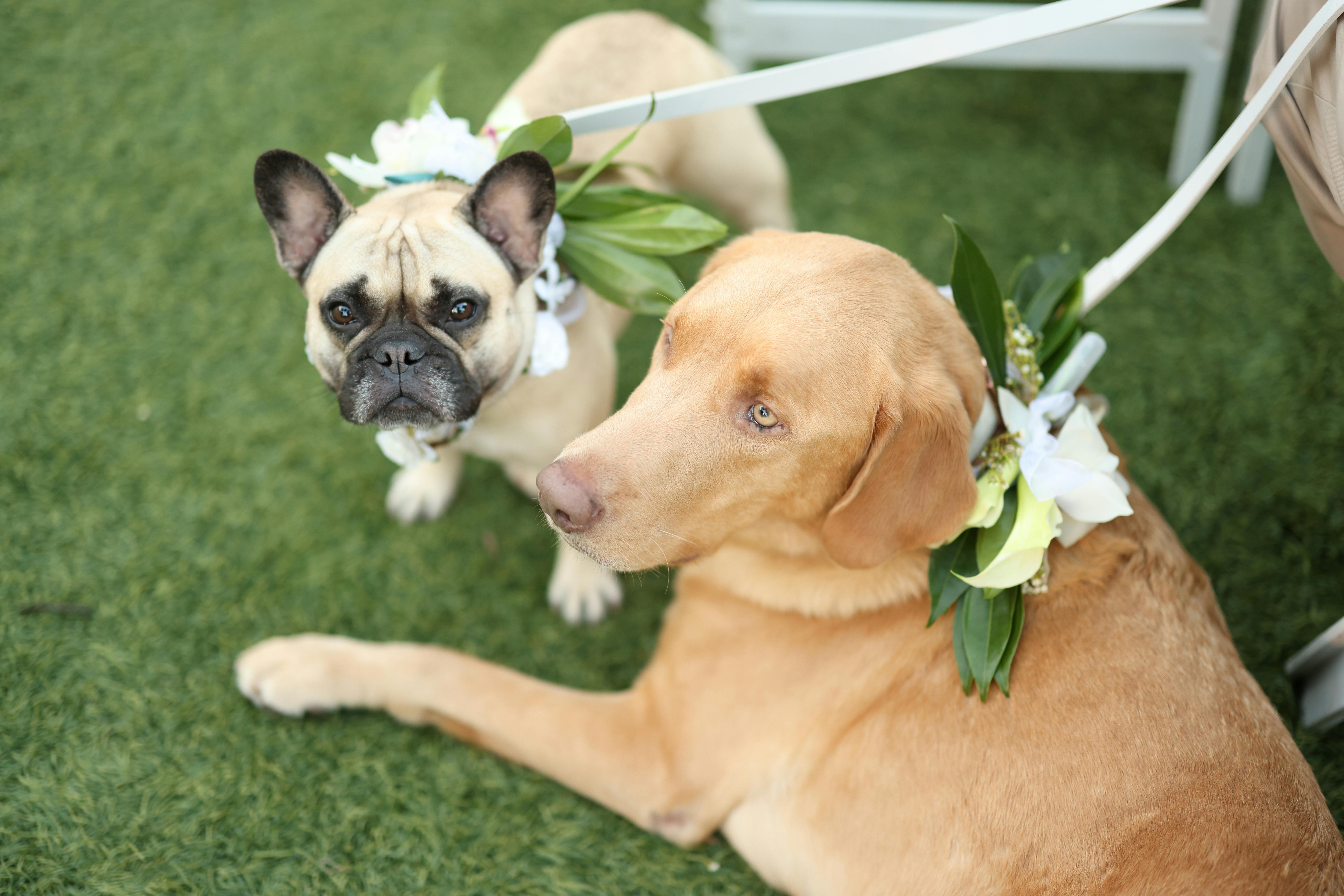 Melissa Davis Designs | Miami Event Planner | 584 photos | PartySlate