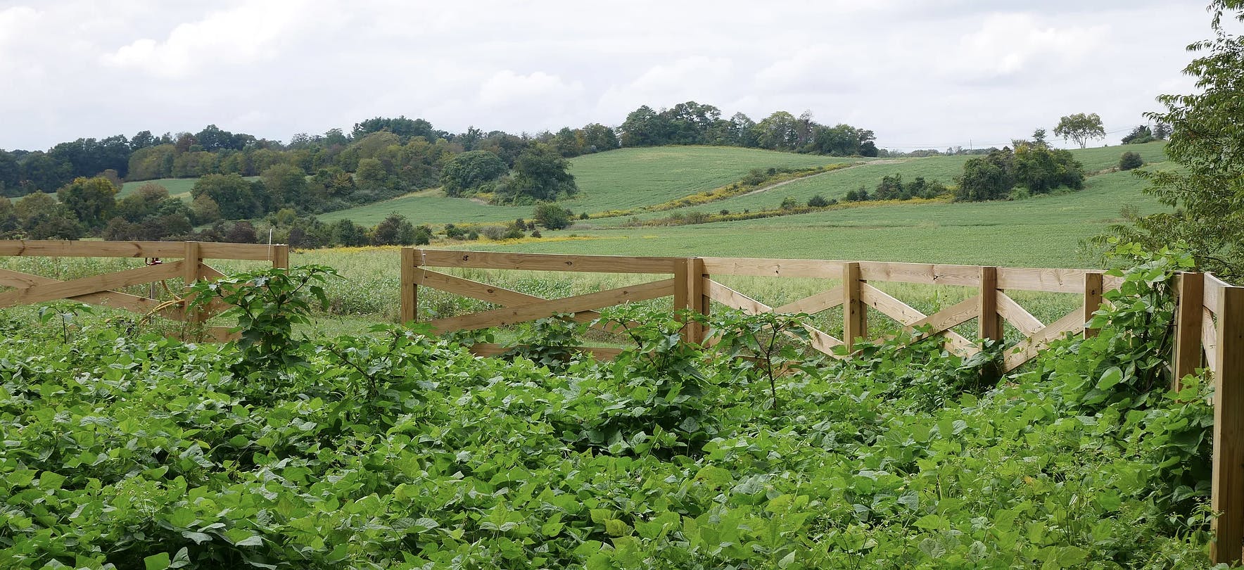 Comus Farm | Dickerson Venue | PartySlate