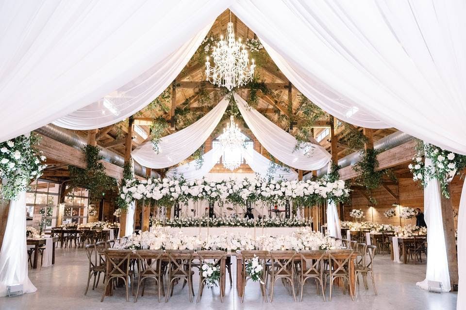 XO Moreau | Austin Event Planner | PartySlate