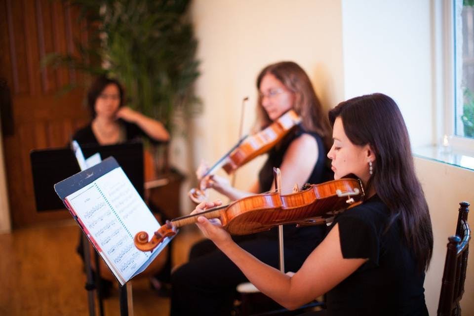 Harmony Strings | Houston Entertainment | PartySlate