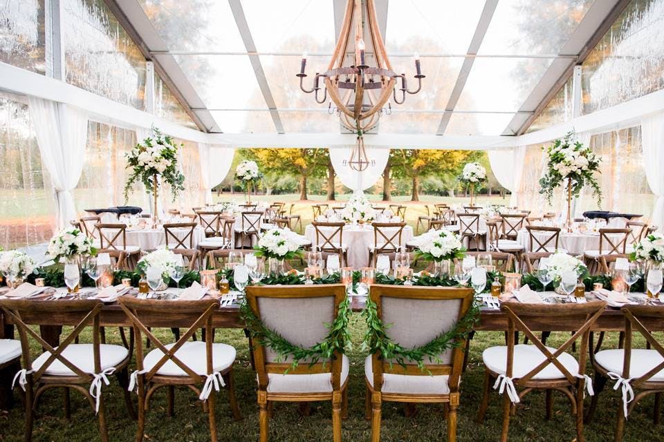 Lauren Rosenau Photography | Charlotte Photographer | PartySlate