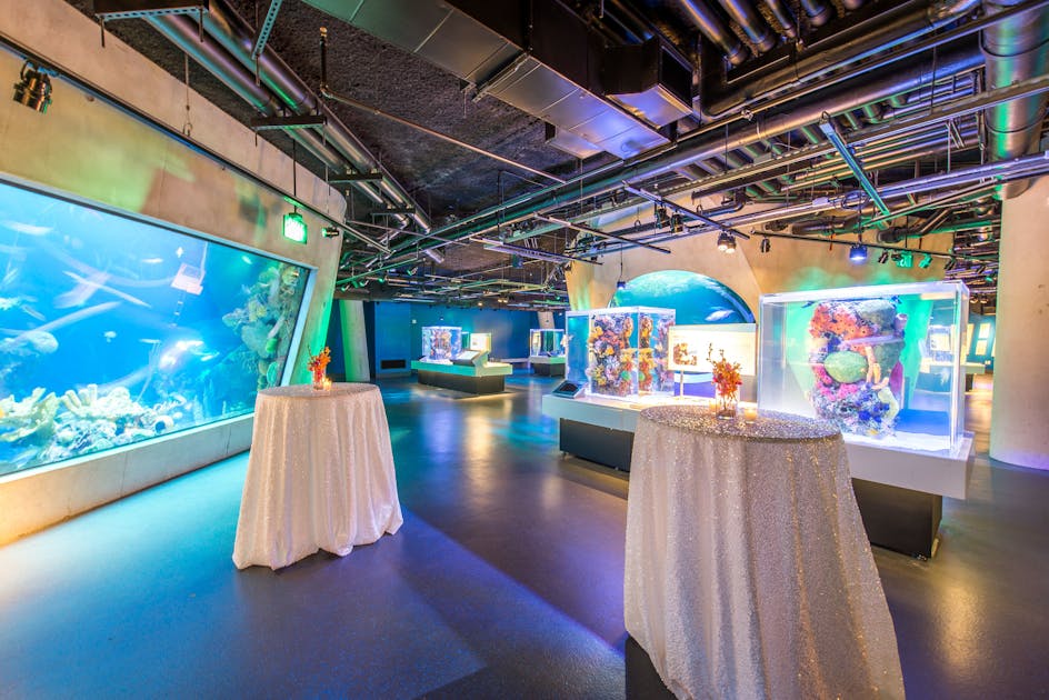 image-8be19ae4-0f0c-442b-96a0-0d7ee3de1061.jpg?ixlib=rails-2.1.4&w=1200 ...