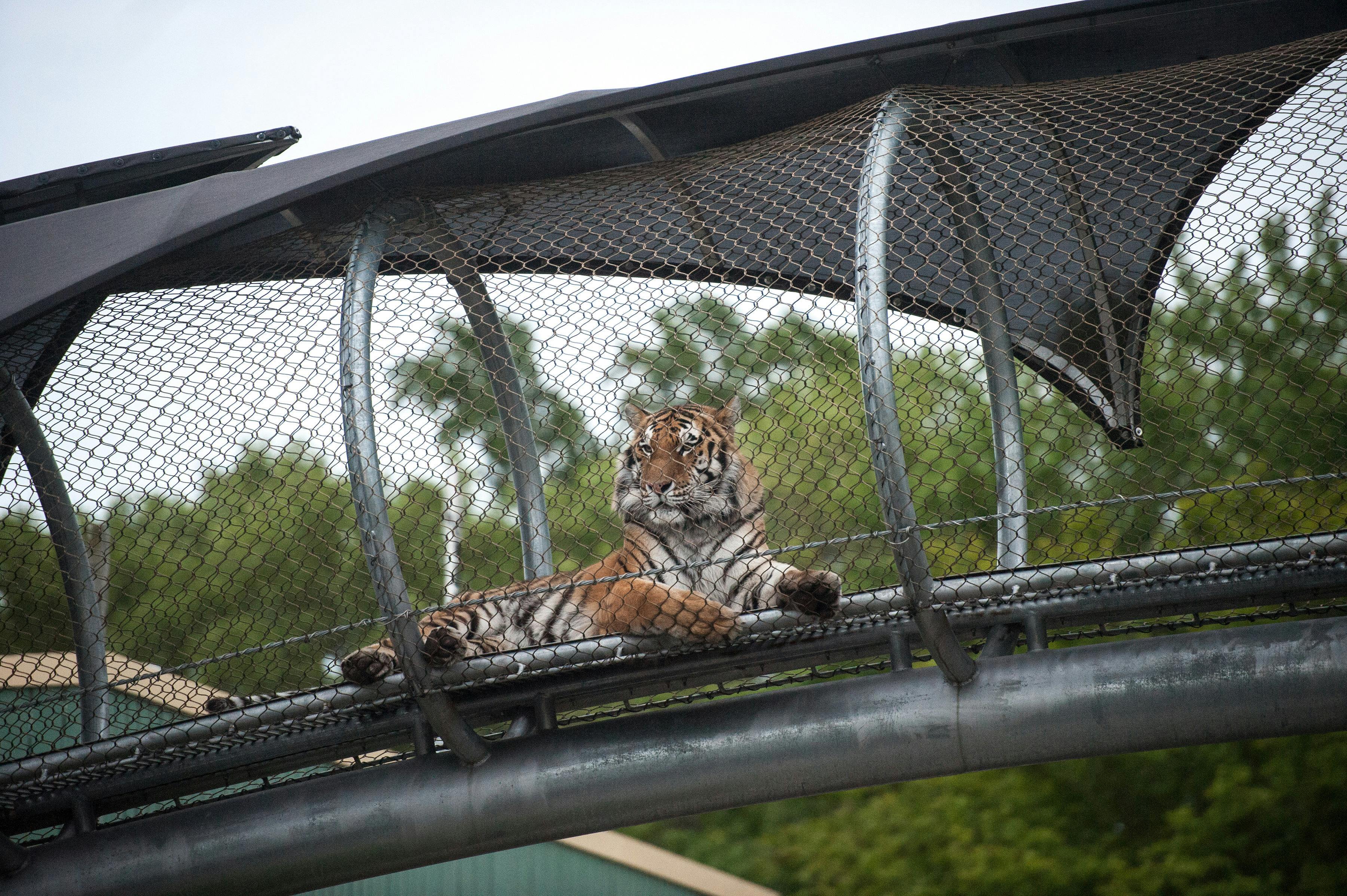 Philadelphia Zoo | Philadelphia Venue | PartySlate