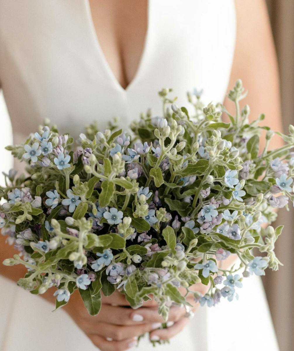 Ann Travis Events | Detroit Event Planner | PartySlate