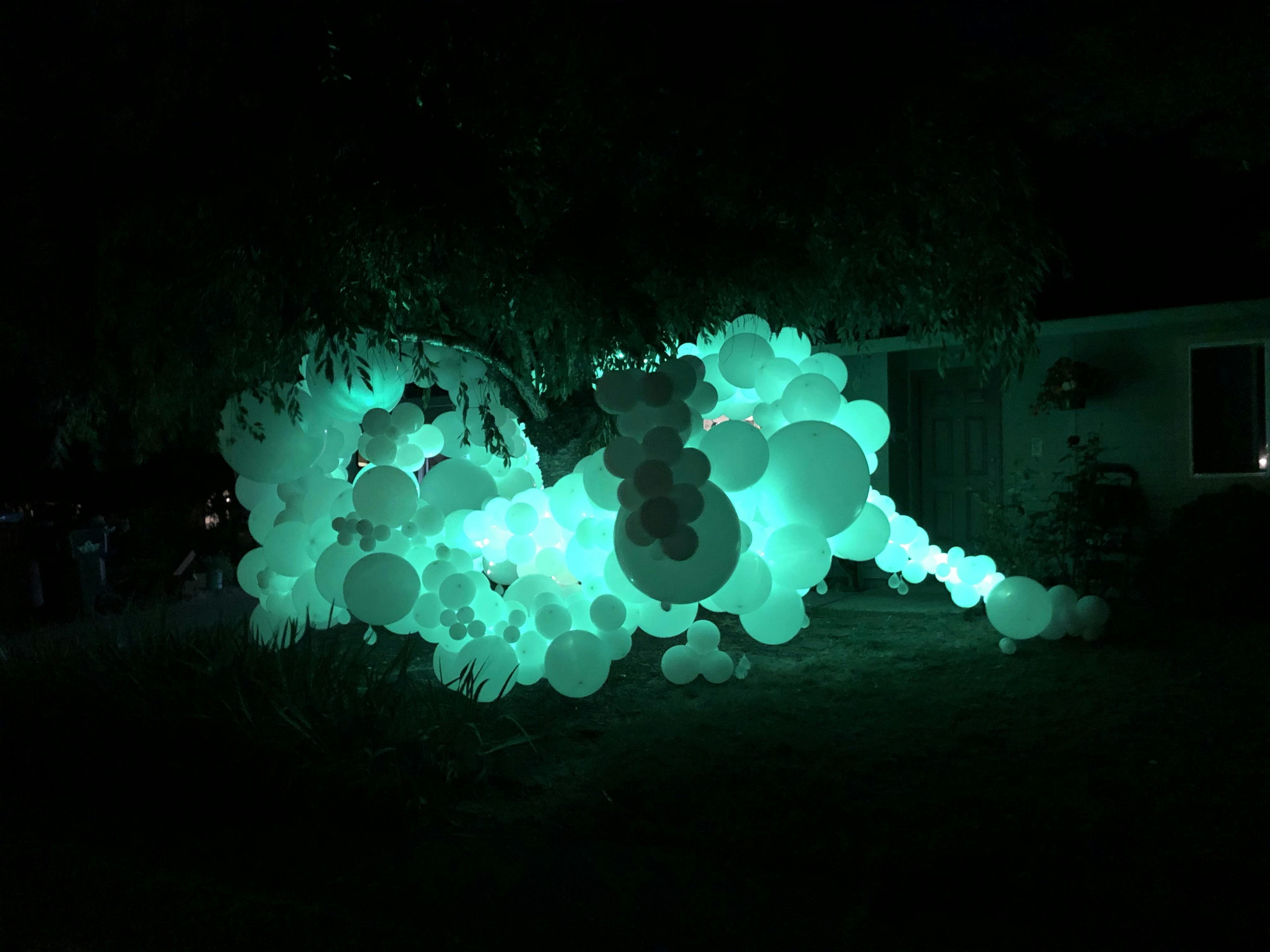 Kameron Messmer Entertainment | Seattle Event Planner | PartySlate