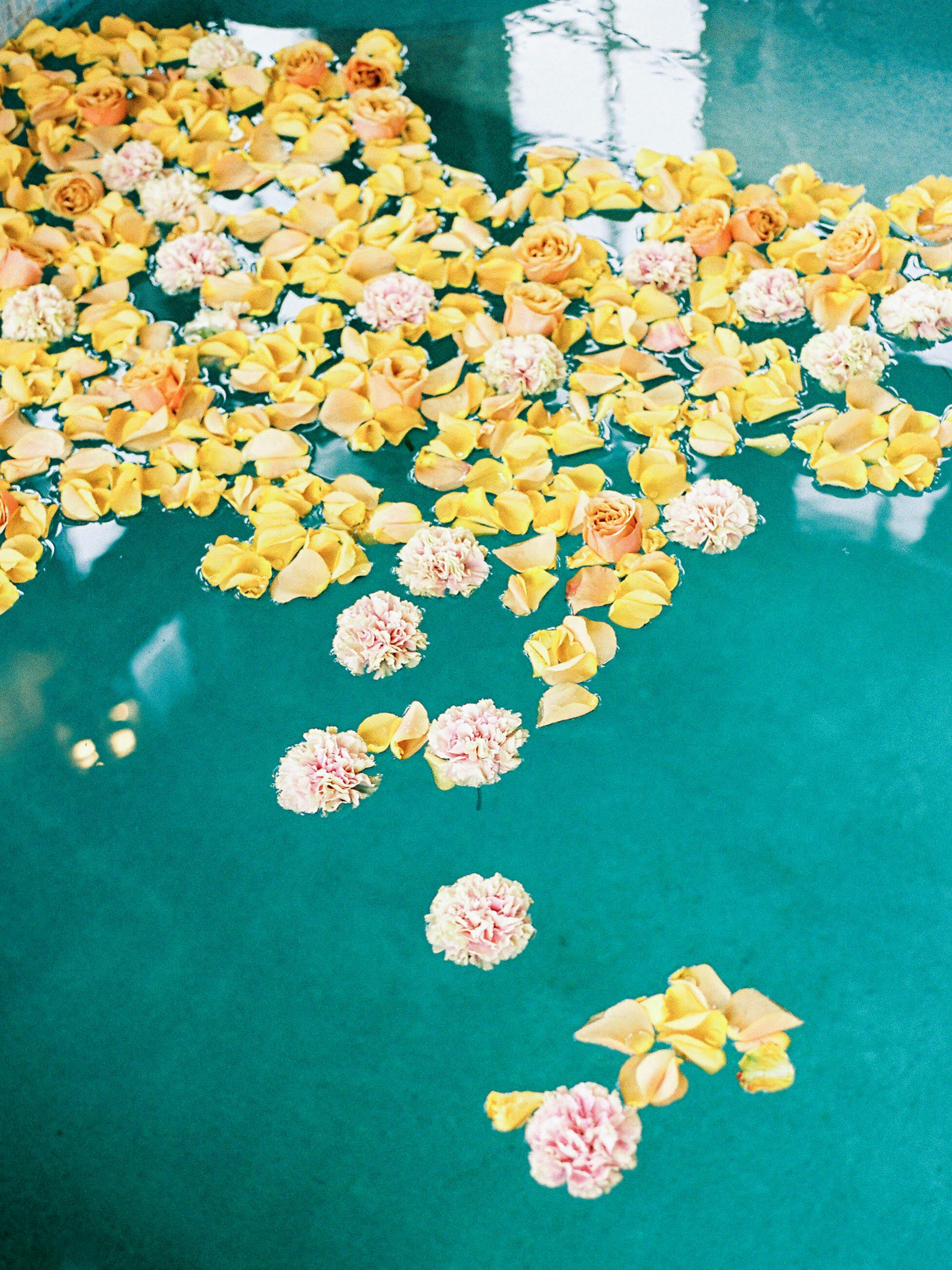 Jennifer Nolan Photography LLC | Washington Photographer | PartySlate