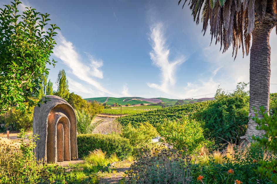 image-5358901c-0686-40c2-a9fd-f2d73184150e.jpg?ixlib=rails-2.1.4&w=1200 ...