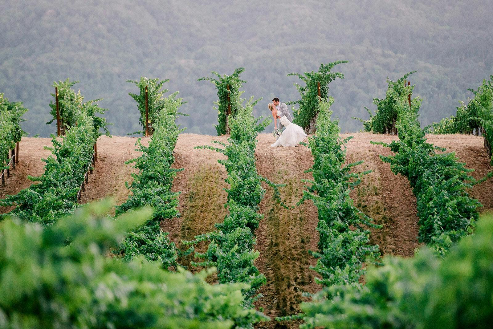 Denise Kramer Weddings | Petaluma Event Planner | PartySlate