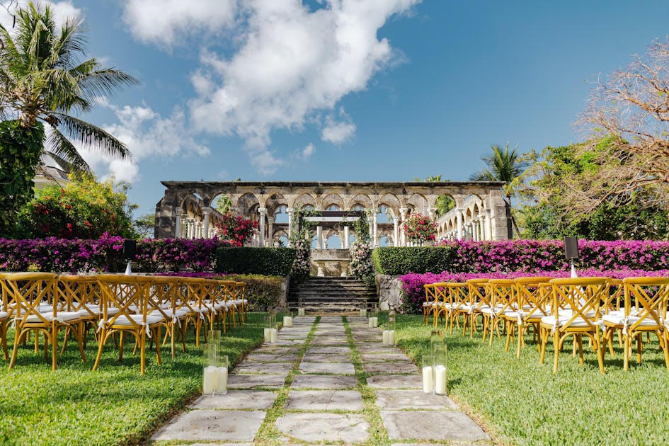 image-3d0f83e0-7d6f-4b13-af38-2ee400667cd3.jpg?ixlib=rails-2.1.4&w=1200 ...