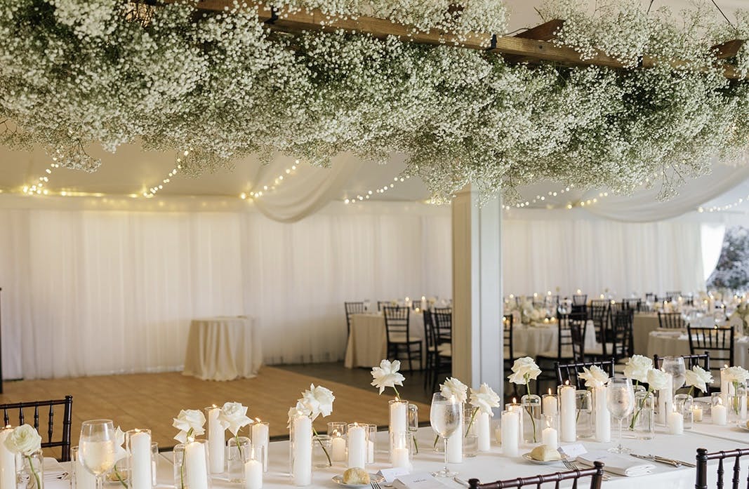 Lexi Palumbo | Boston Design & Floral | PartySlate