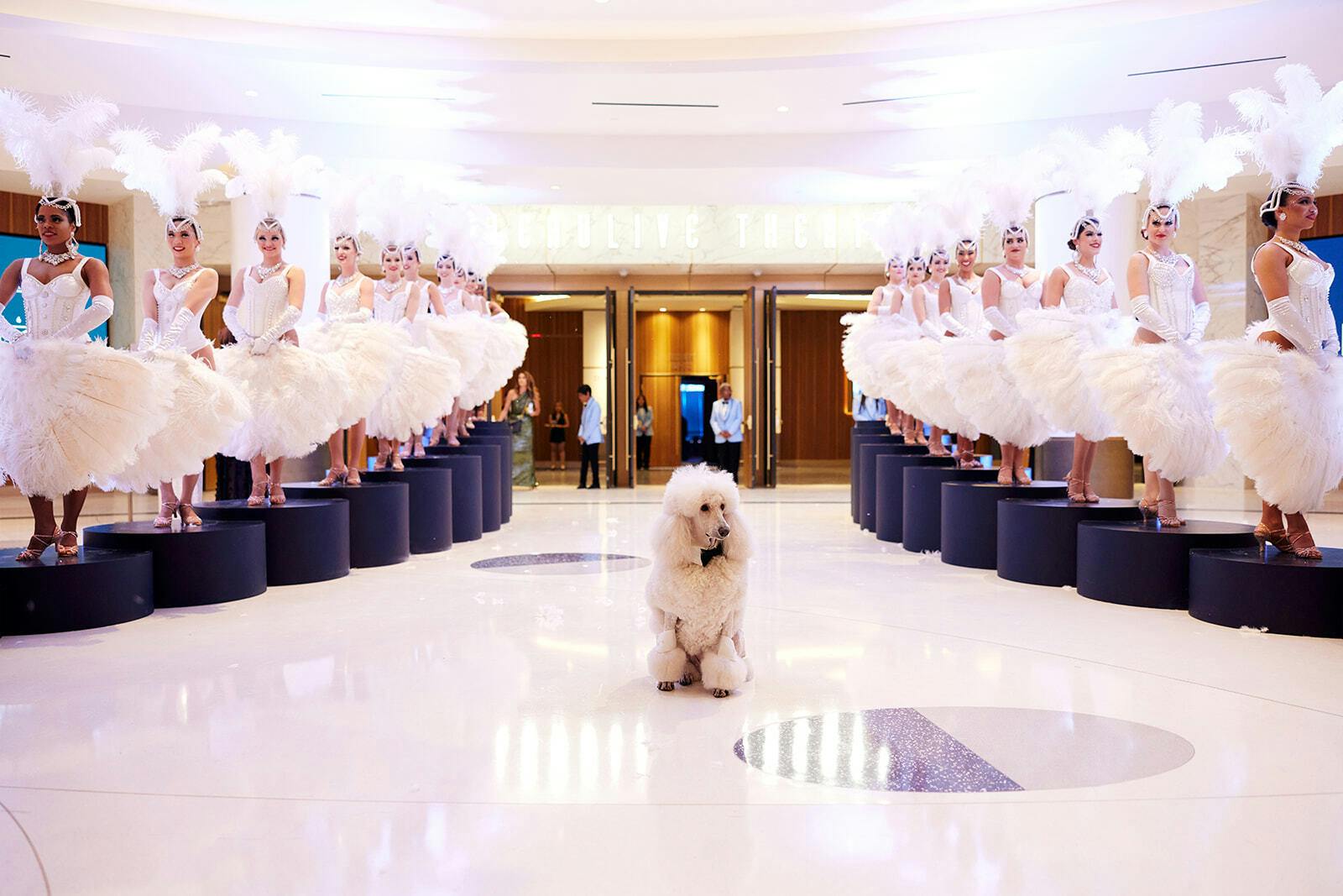 Colin Cowie Lifestyle | New York Event Planner | 856 photos | PartySlate