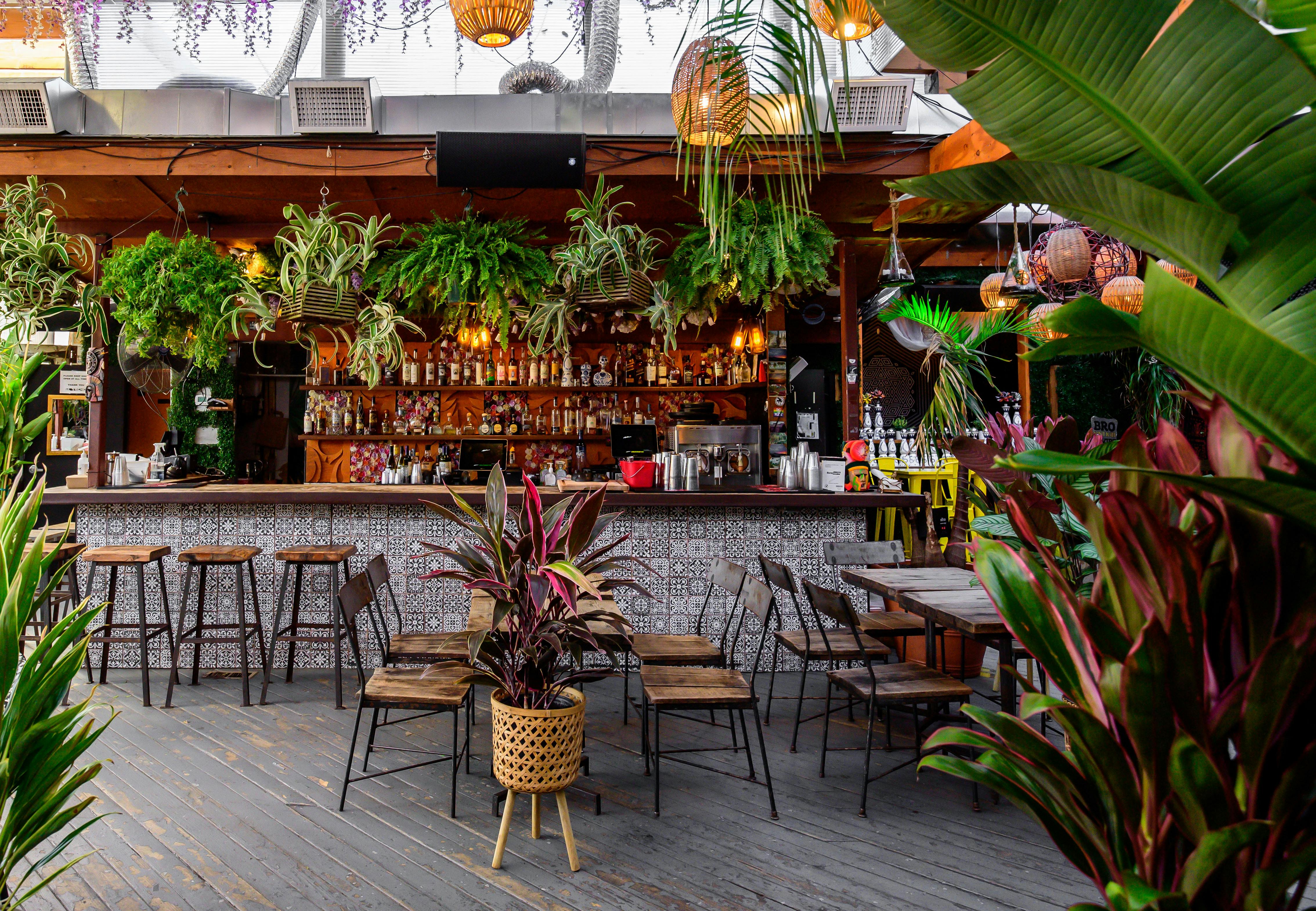 El Techo DC | Washington Venue | PartySlate