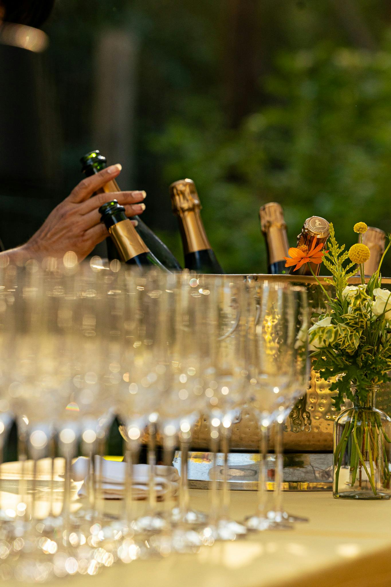 Boatright Photo | Sonoma Photographer | PartySlate