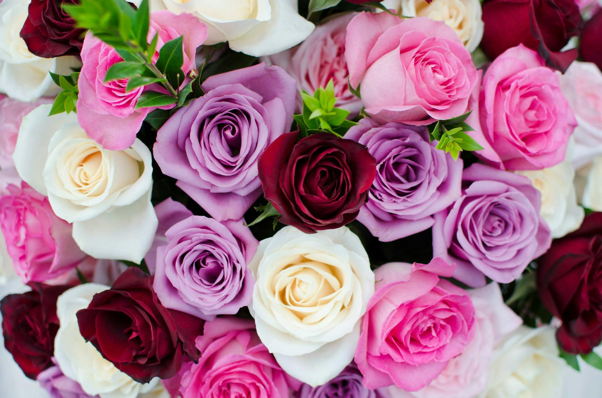 DVFlora | Mantua Township Design & Floral | PartySlate