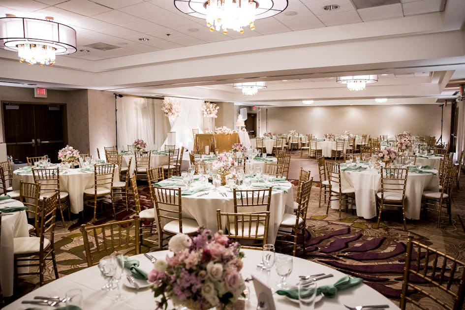 image-61468543-9f56-45d8-9af9-57234090b6c6.jpg?ixlib=rails-2.1.4&w=1200 ...