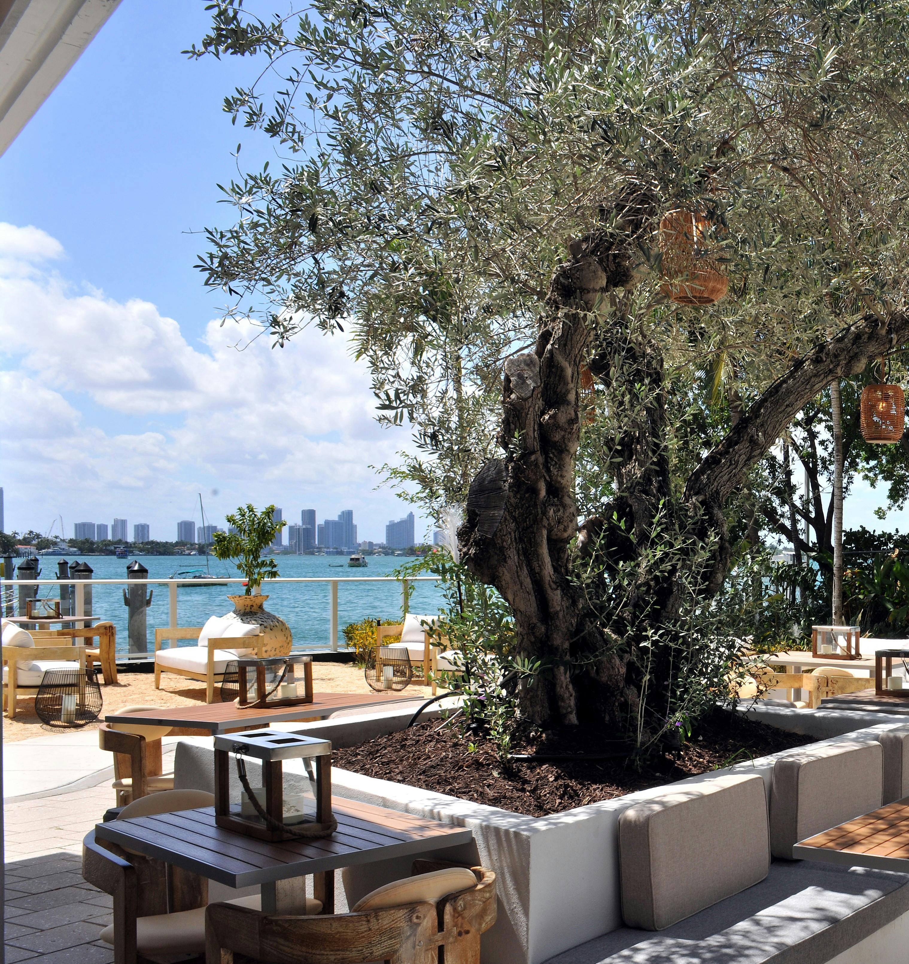 Pamplemousse on the Bay | Miami Beach Venue | PartySlate