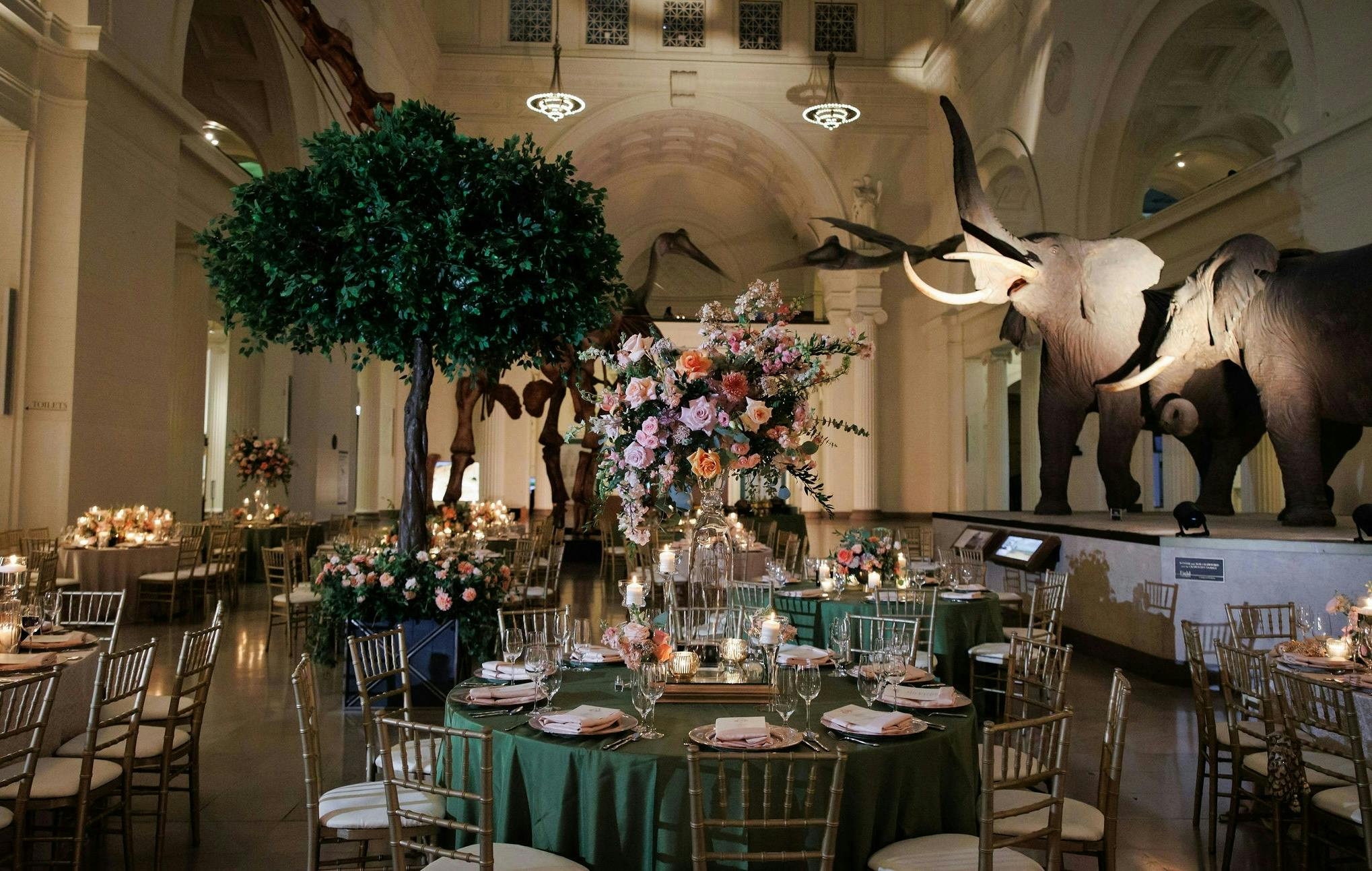 Field Museum | Chicago Venue | 249 photos | PartySlate