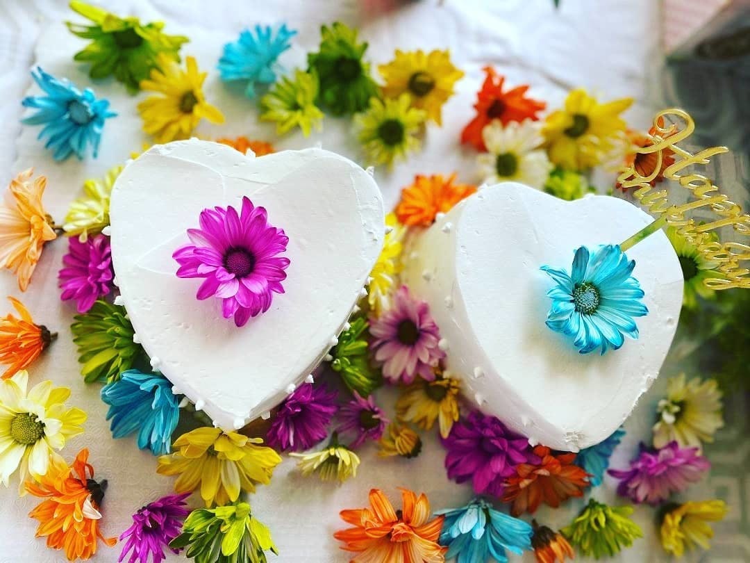 European Cake Gallery | San Diego Bakery & Desserts | 25 photos ...