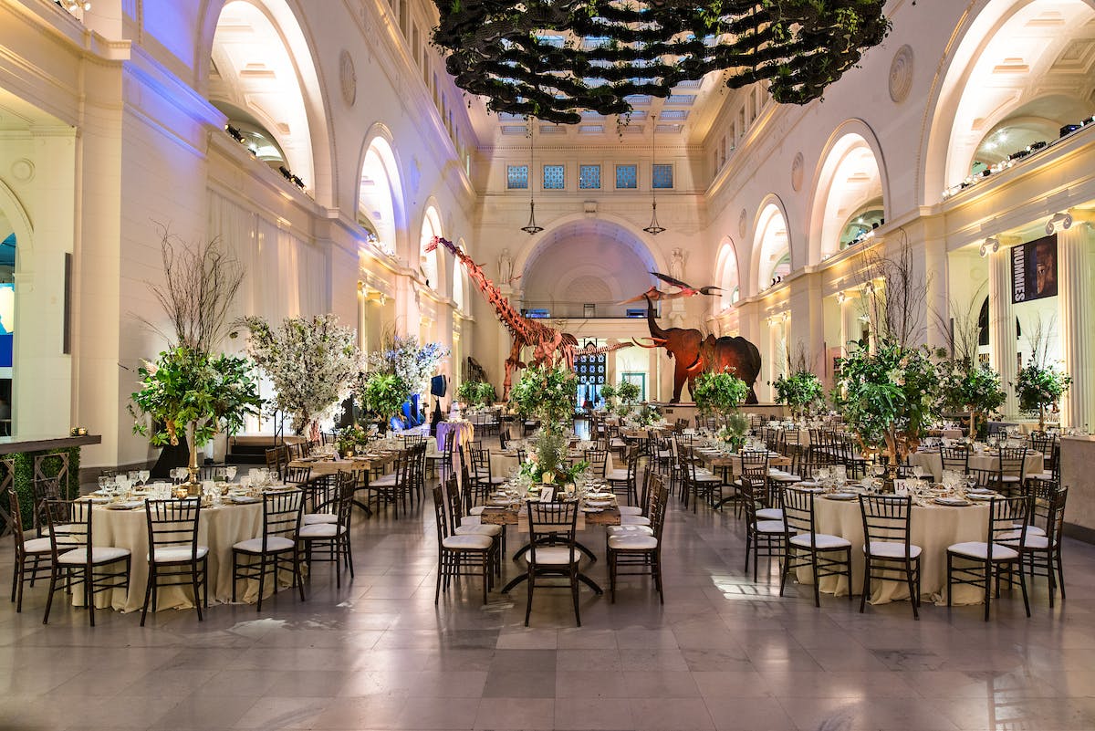 Field Museum | Chicago Venue | All Events | 1,542 photos on PartySlate