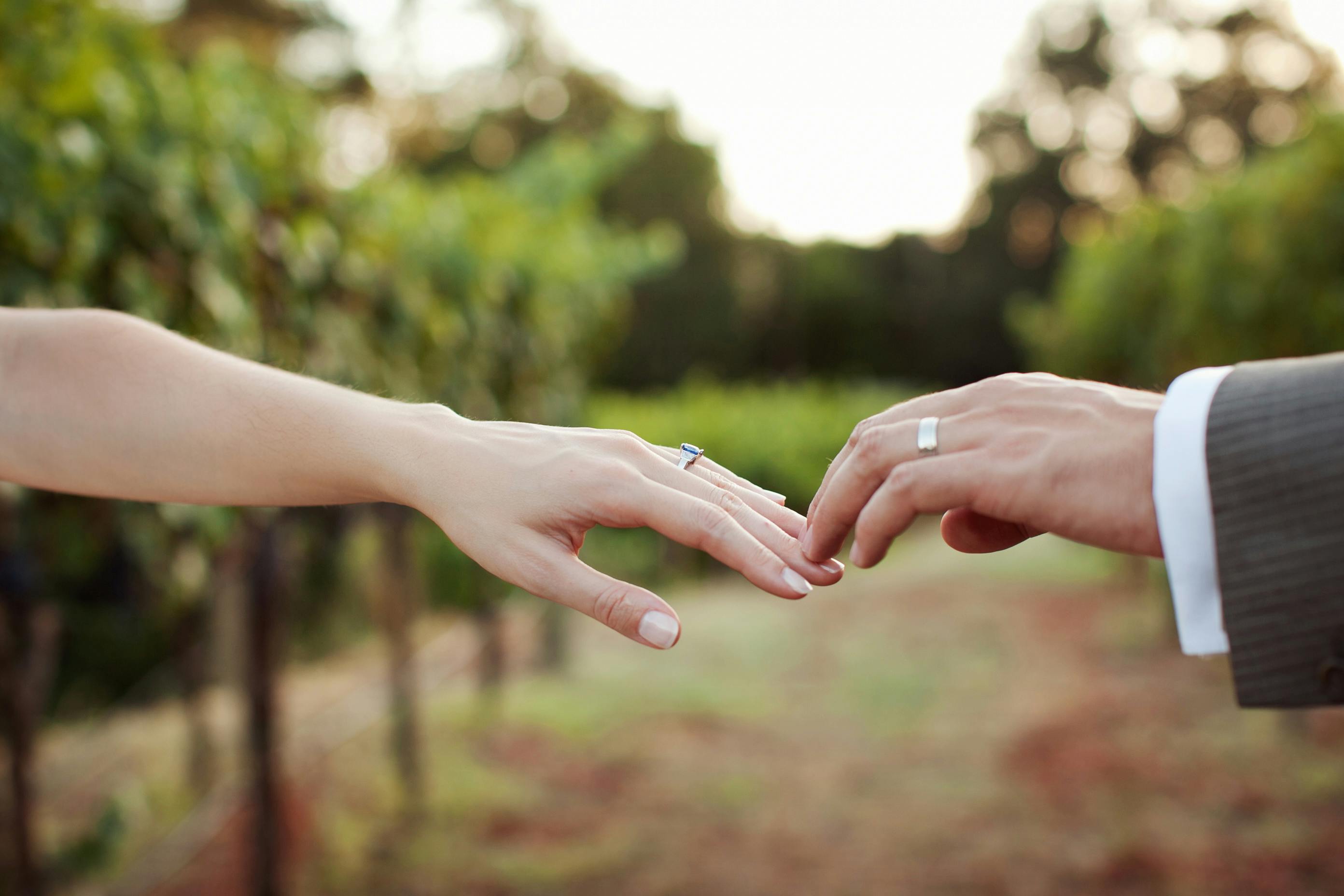 Megan Reeves Photography | Napa Photographer | 236 photos | PartySlate