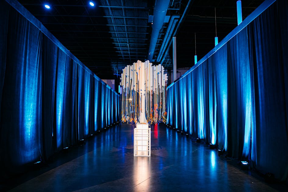 photo-8df1b90b-c645-4c0d-8e88-233c8daac167.jpg?ixlib=rails-2.1.4&w=1200 ...