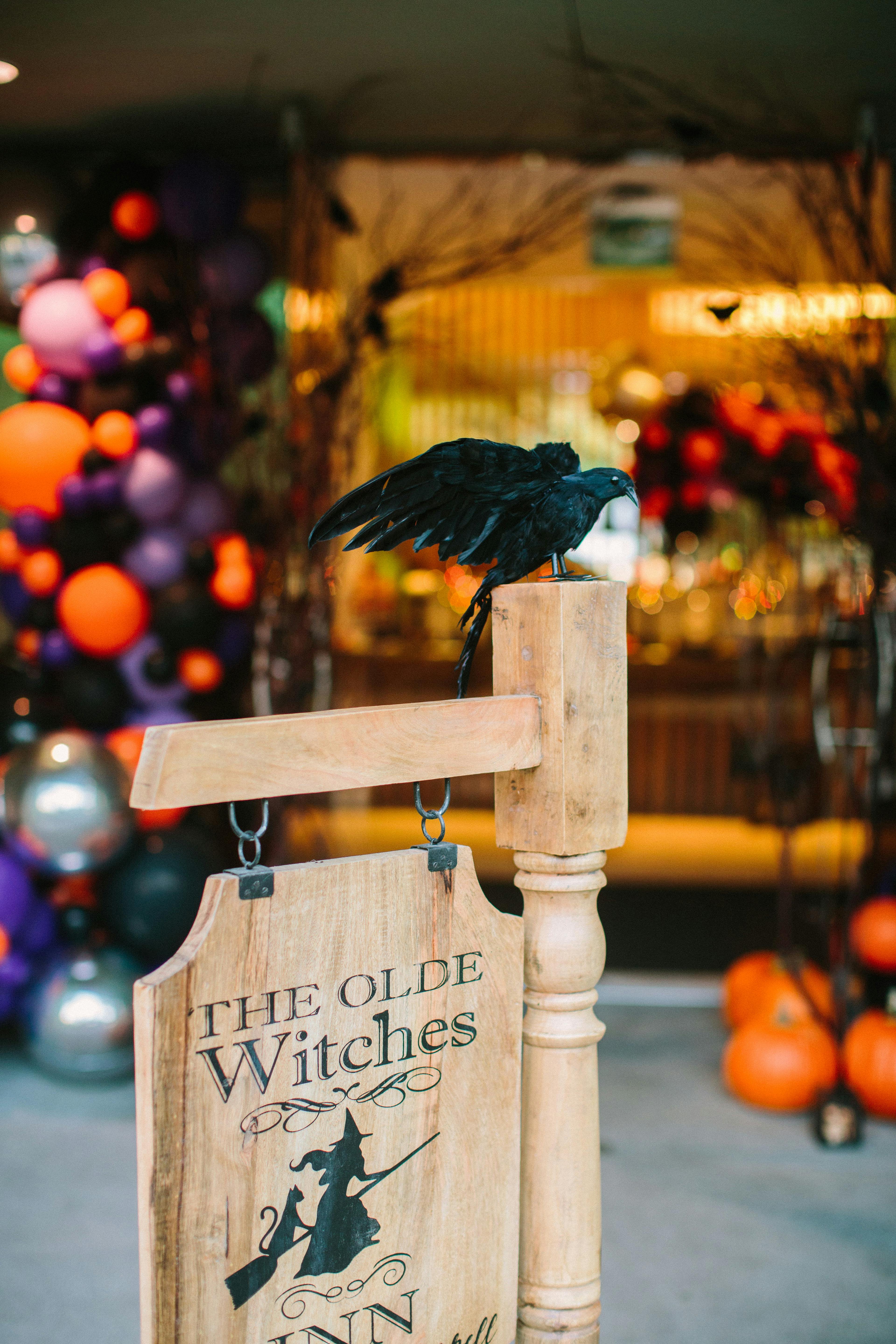 11 Creative Halloween Ideas for Your Spooky Soirée
