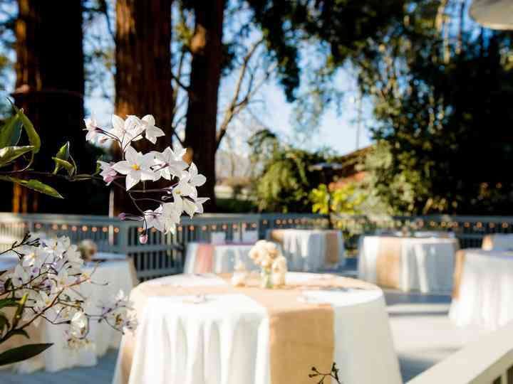 photo-254ff366-951b-4cea-9b13-8984307e8840.jpeg?ixlib=rails-2.1.4&w ...