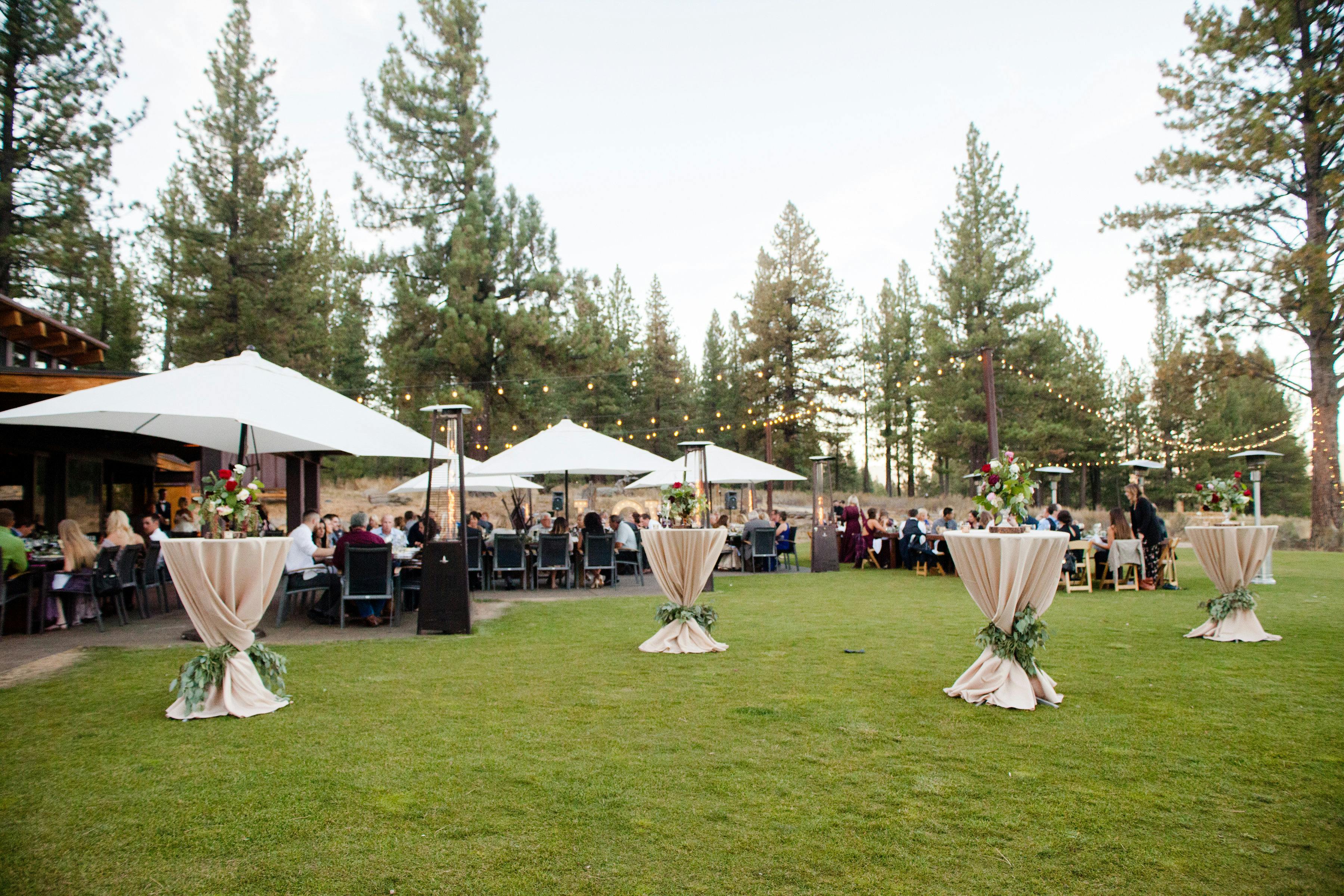 photo-7e0bd611-b167-4dbc-a611-540308f025b4.jpg?ixlib=rails-2.1.4&w=1200 ...