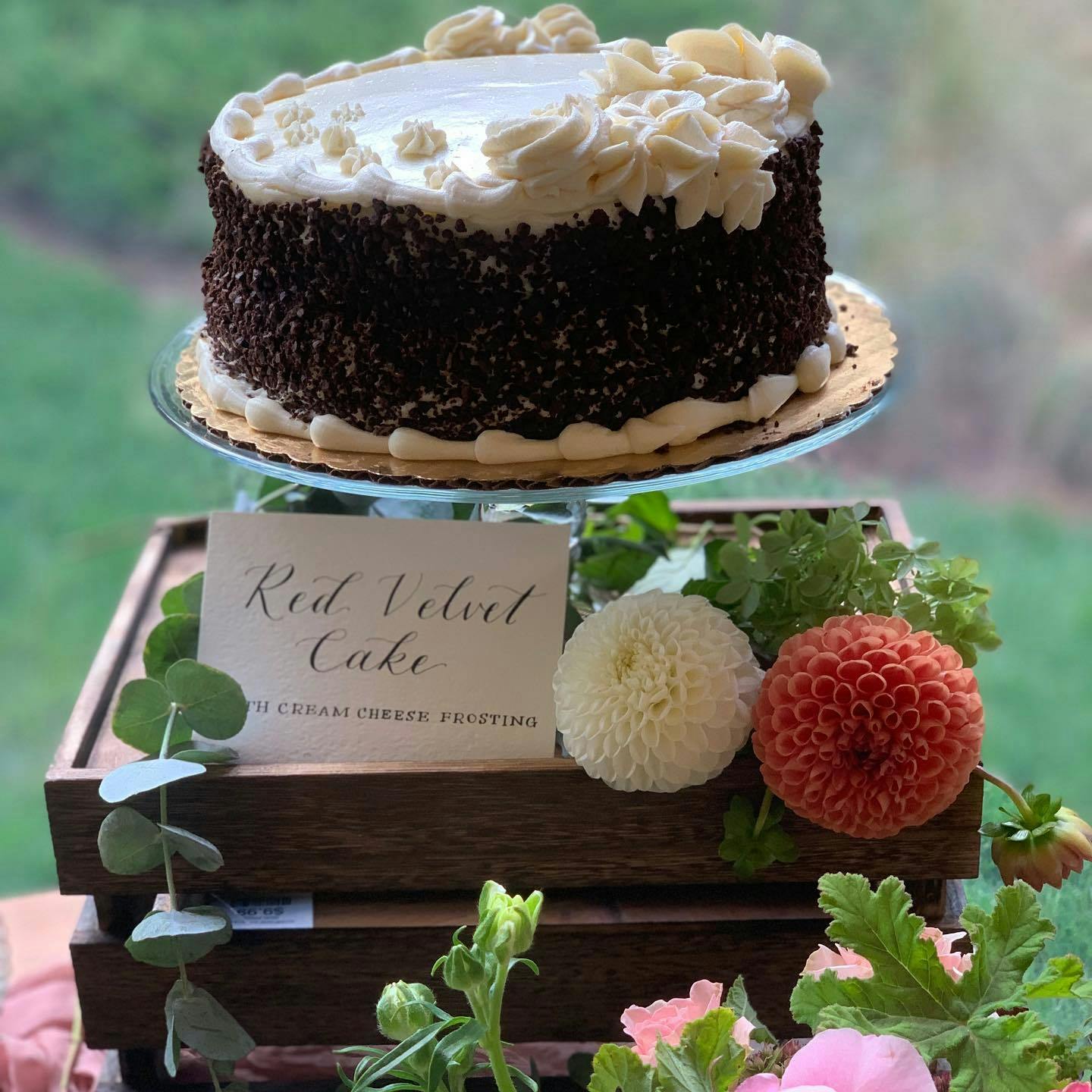 photo-1d188d6c-f846-43e5-be9f-2e6f712744c5.jpeg?ixlib=rails-2.1.4&w ...