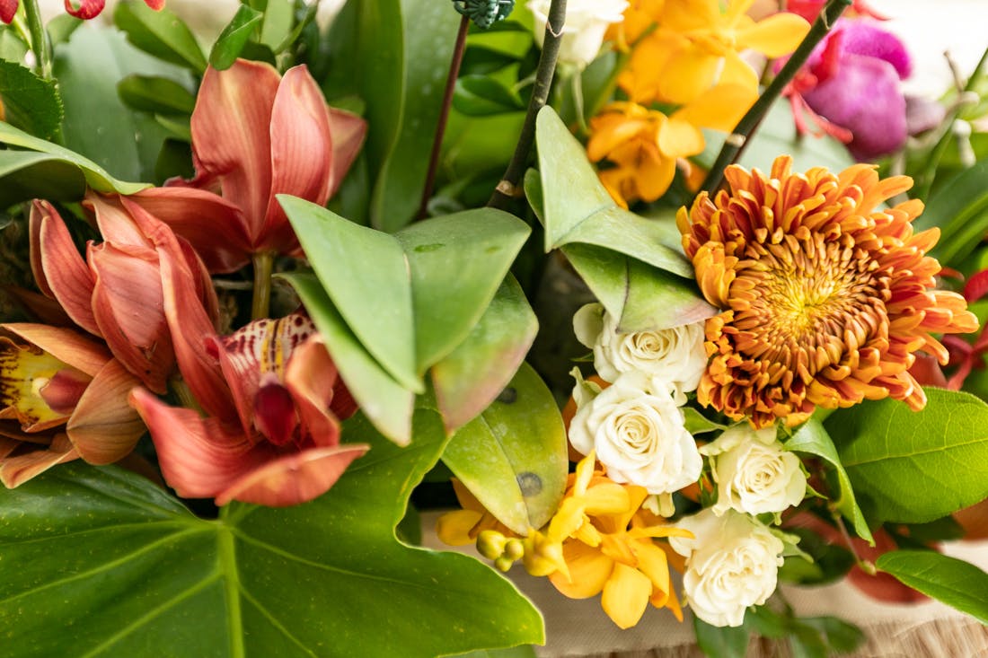 photo-1c41714a-7c9b-4bd4-a8bd-670cae7182d7.jpg?ixlib=rails-2.1.4&w=1200 ...