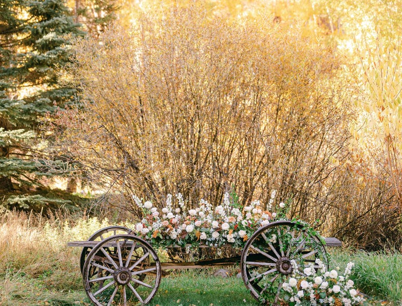 photo-318765b5-beed-42a5-aec7-d2d4063916aa.png?ixlib=rails-2.1.4&w=1200 ...