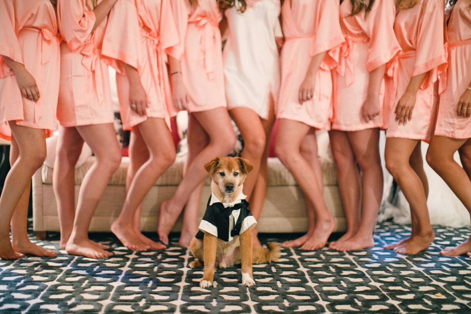 photo-dd5da83c-bc32-4175-a81c-5ce9fcddc24a.jpeg?ixlib=rails-2.1.4&w ...