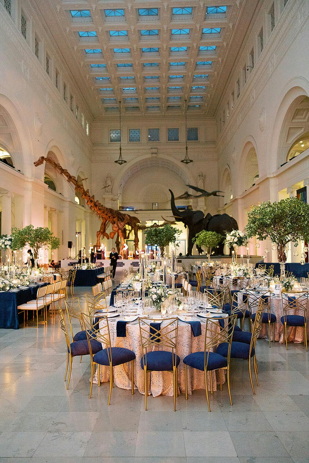 Field Museum | Chicago Venue | All Events | 1,542 photos on PartySlate