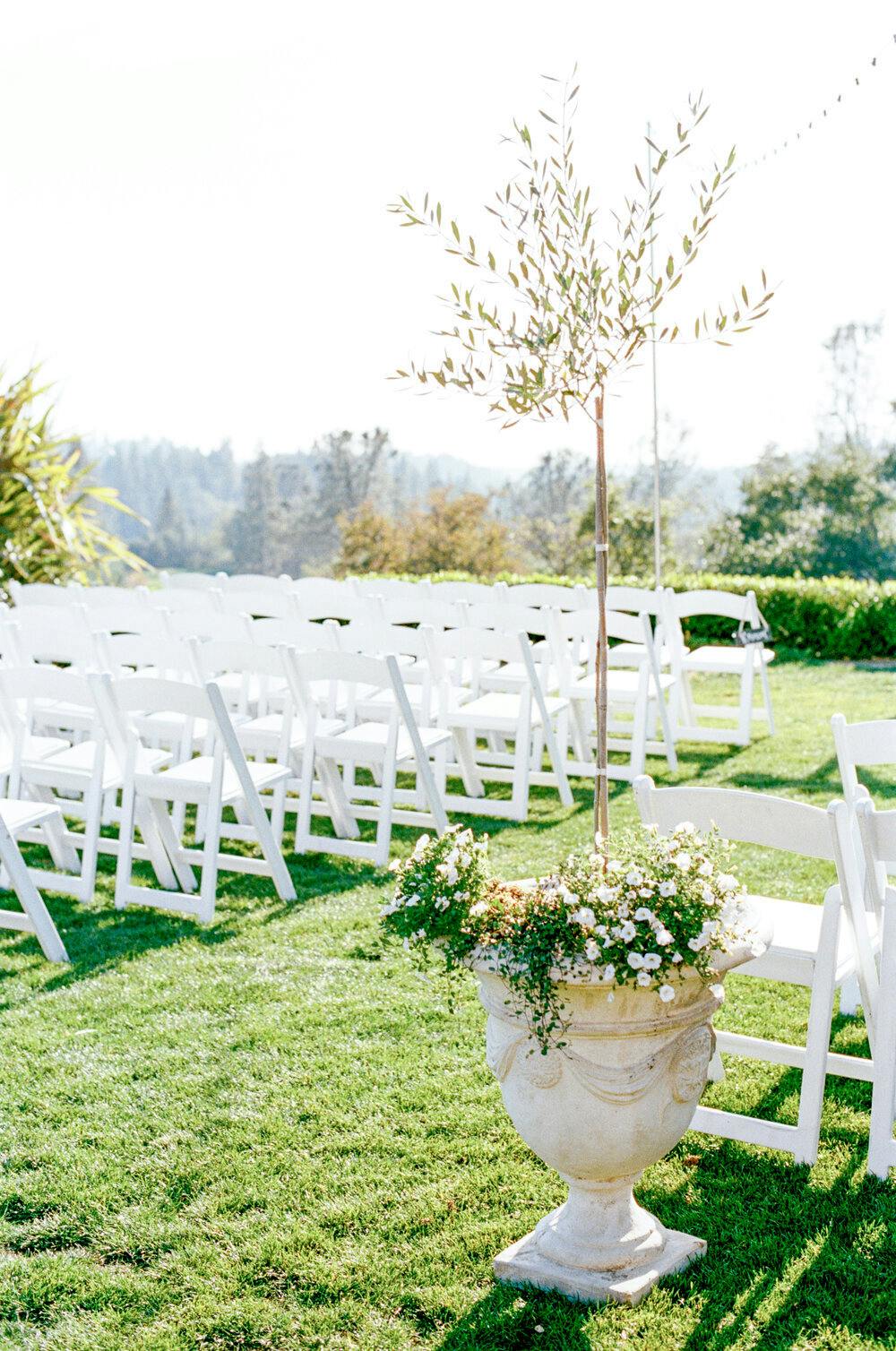 photo-7f215f97-c643-496f-8ecf-ad9fdfd802fc.jpg?ixlib=rails-2.1.4&w=1200 ...