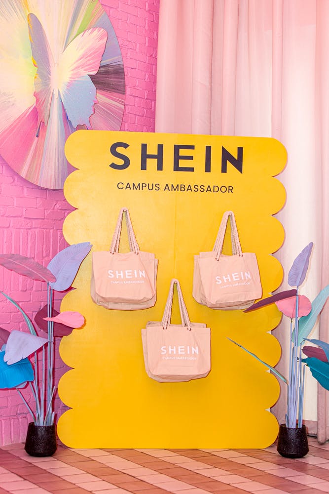 photo-69a451b8-aa68-4a7a-a43b-4786ef71576c.jpg?ixlib=rails-2.1.4&w=1200 ...