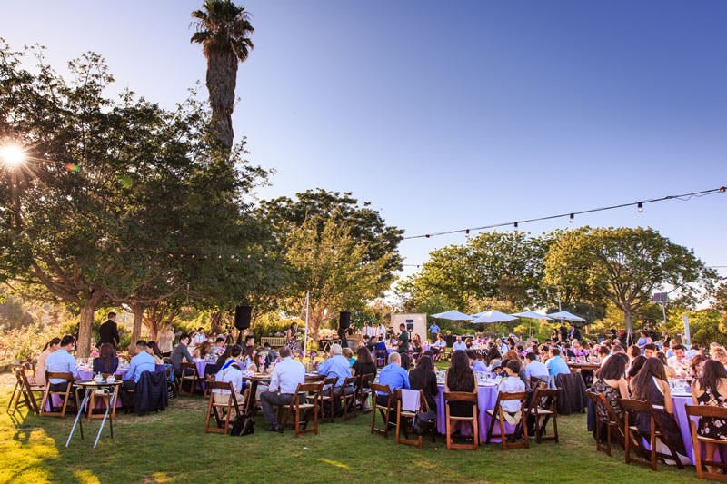 photo-618af02e-6d1f-455c-91bc-3cfa02dfbfcc.jpg?ixlib=rails-2.1.4&w=1200 ...