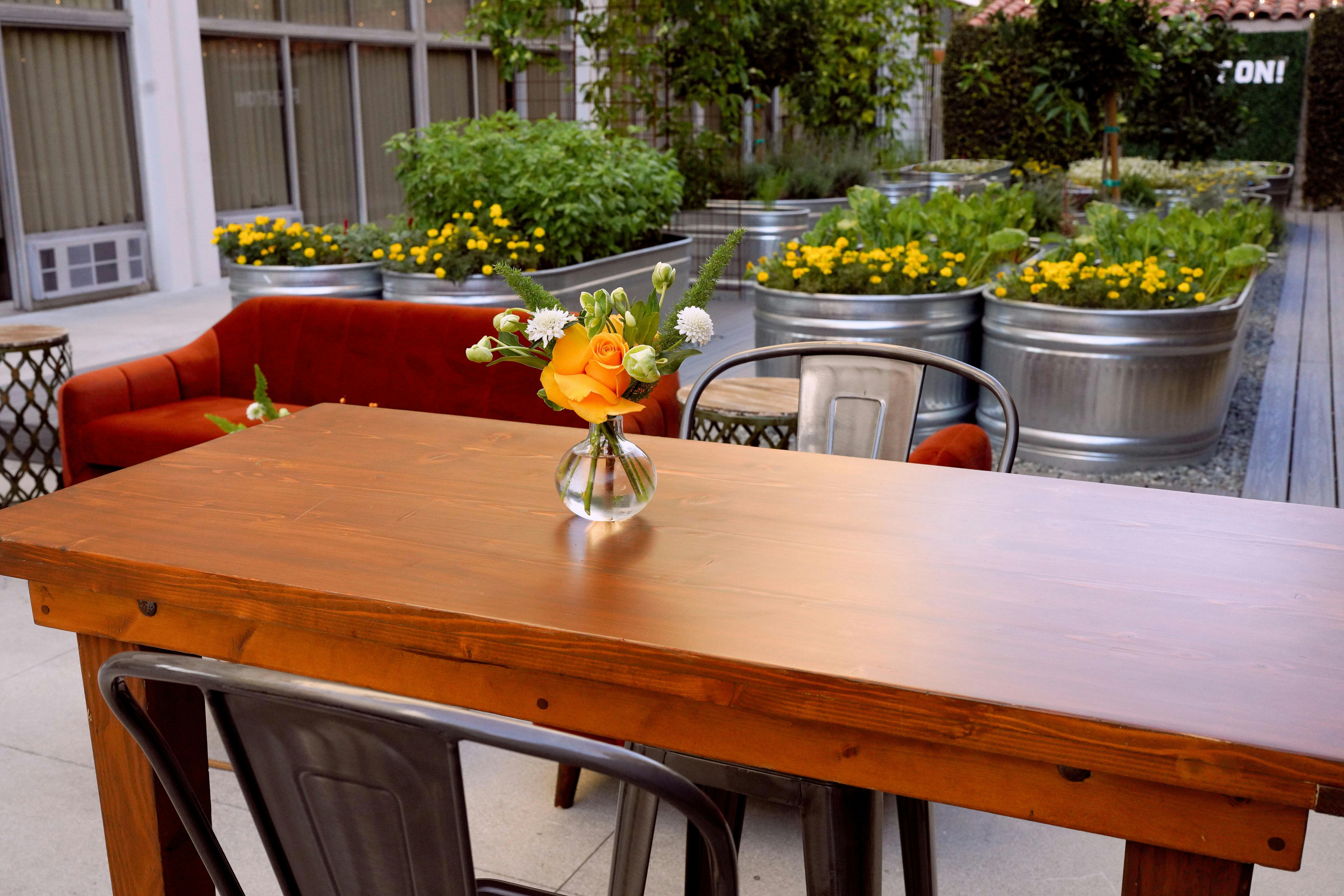 photo-5fddddf6-4c4c-4979-b828-d6ee43c93f96.jpg?ixlib=rails-2.1.4&w=1200 ...