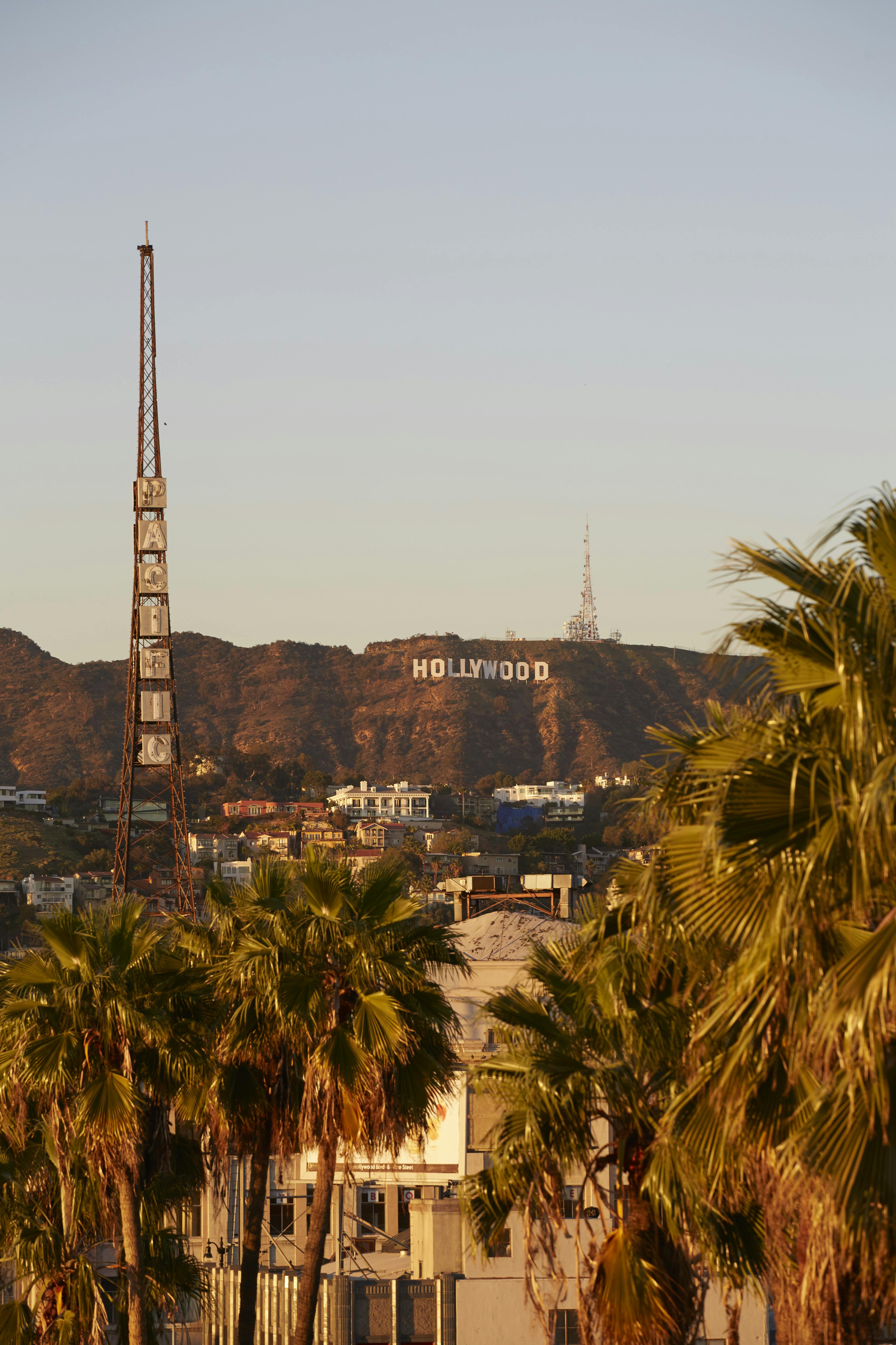 photo-0b410663-0b7e-4aea-ae83-9b689575d1fc.jpg?ixlib=rails-2.1.4&w=1200 ...