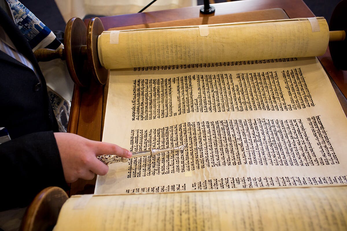 photo-14dc7c4d-4d1f-43e2-95a8-9368ebfd735d.JPG?ixlib=rails-2.1.4&w=1200 ...